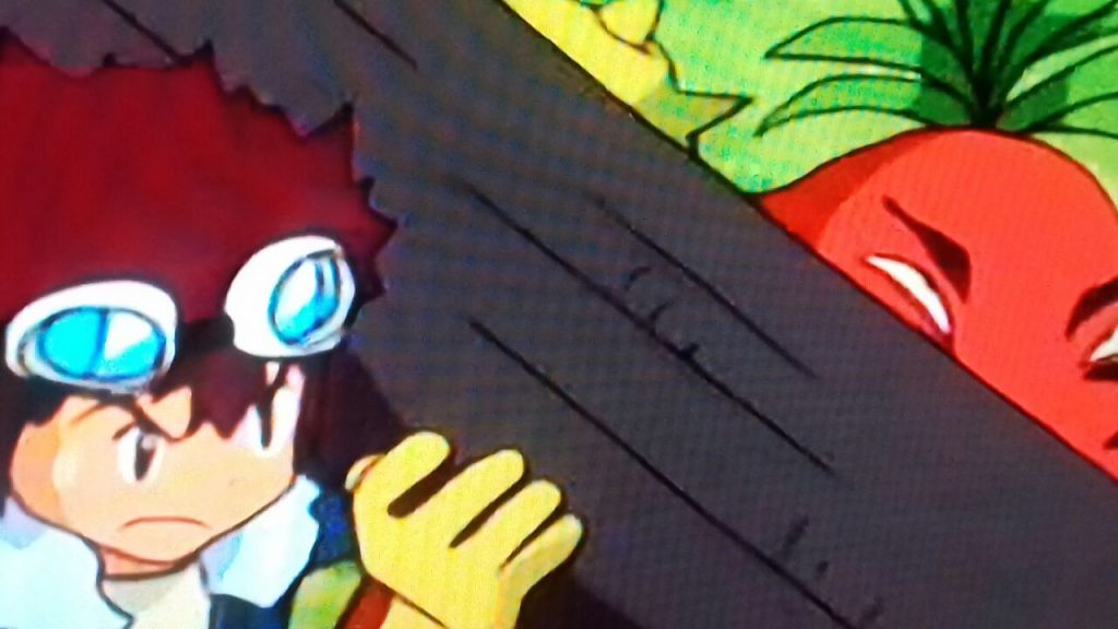 22 RedVegimon - Digimon-World